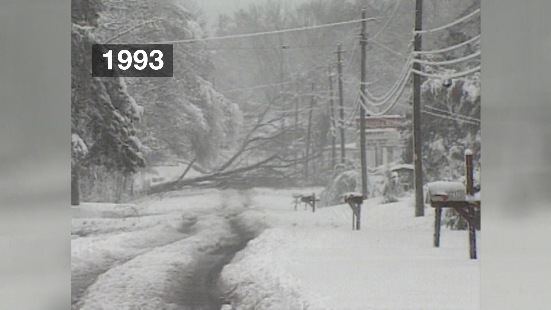 10 Fast Facts About The 1993 Storm Of The Century 11alive